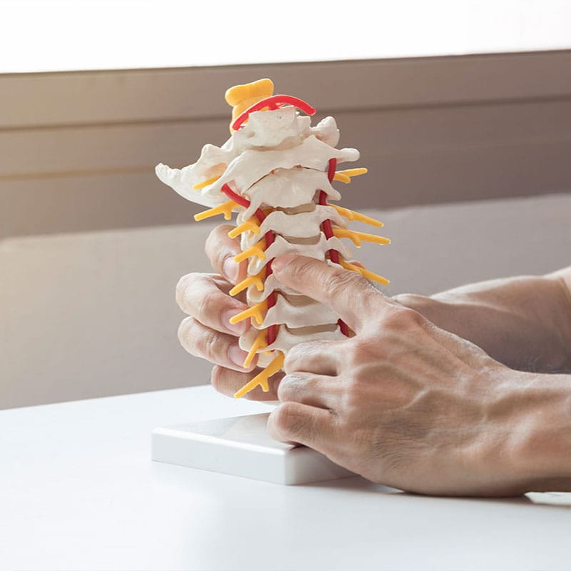 Choosing the Right Specialist for Spine Surgery: Finding Your Ideal ...